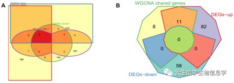 7分 双疾病纯生信分析又整新活了！整合“机器学习”标志物筛选、单基因分析和药物分子对接，思路升级不学就亏大啦！ 知乎