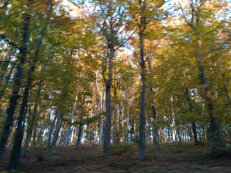 Фестивал Здравей Здраве Ямбол Home Facebook