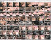 Chaz Vincent Vintage Erotica Forums