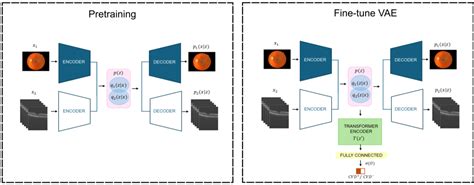 論文レビュー Integrating Deep Learning With Fundus And Optical Coherence