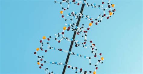 Autism Susceptibility Genes Identified Rxwiki