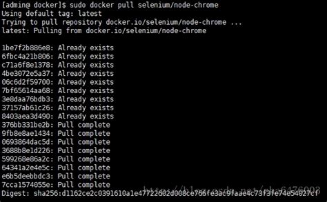 centos docker ubuntu docker介绍安装及详细使用 docker 能同时下载ubuntu和centos吗 csdn博客