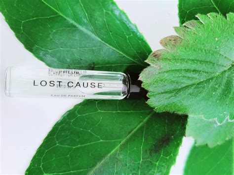 Phlur Discovery Set Sampler Review Hall Of Style