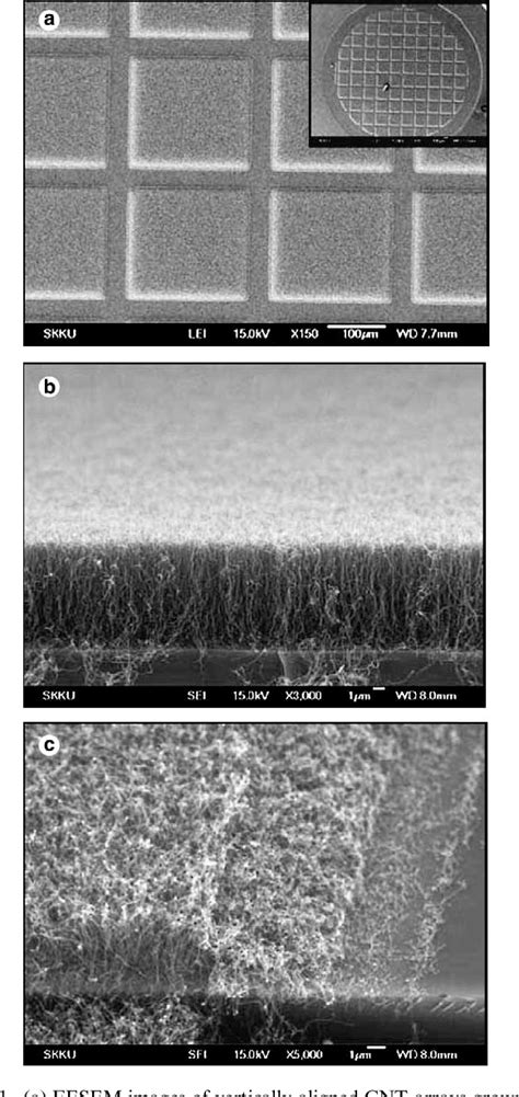 Figure From Edge Effect On The Field Emission Properties From Vertically Aligned Carbon