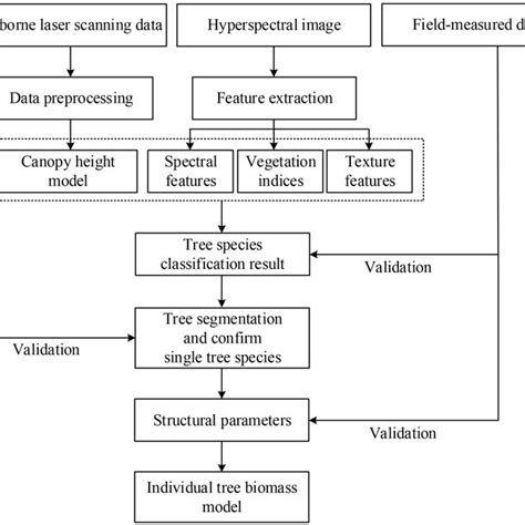 The Flowchart Of Tree Species Classification And Biomass Model