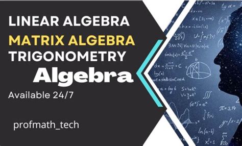 Help With Linear Algebra Trigonometry And Geometry By Profmath Tech Fiverr