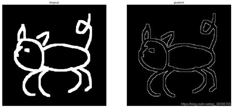 Opencv Python：16形态学处理【二】（开操作、闭操作、形态学梯度、顶帽变换、黑帽变换，去除皮肤镜中的毛发噪音、cv2