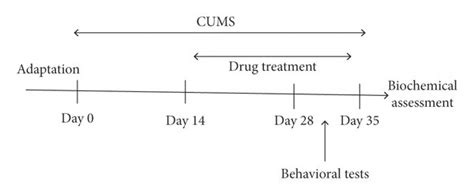 The Molecular Structure Of Diosmetin A A Schematic Paradigm Of Cums