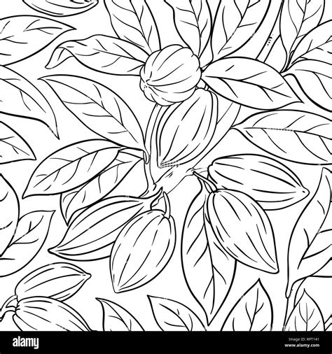 Cocoa Vector Pattern On White Background Stock Vector Image And Art Alamy