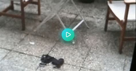 Neighbor Retrieving Her Bra  On Imgur