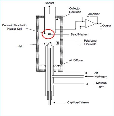 Types Of Detectors Used In Gas Chromatography At Kenneth Locke Blog