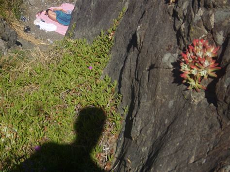 Red Rock Beach People Having Sex Under The Blanket Corg24 Flickr