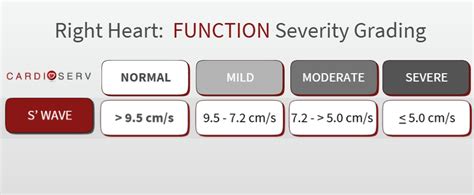 S′ Wave In 2025 New Grading Measurement Tips And Pitfalls Cardioserv