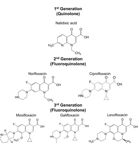 Overcoming Fluoroquinolone Resistance