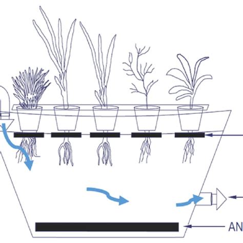 Representation Of The Floating Treatment Wetland Mfc Ftw Mfc Adapted Download Scientific
