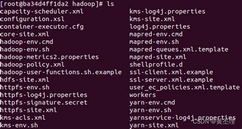 零基础 用docker搭建hadoop集群hadoop Docker Csdn博客 零基础 用docker搭建hadoop集群hadoop Docker Csdn博客