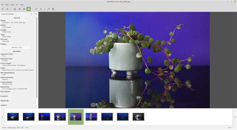This Is A Simple Program So This Review Will Be The Same