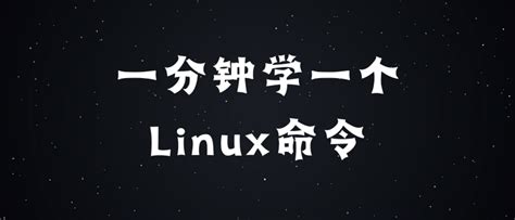 Java 一分钟学一个 Linux 命令 Ps 个人文章 Segmentfault 思否