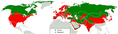Gray Wolf Distribution Public Domain Map Picryl Public Domain Media Search Engine Public