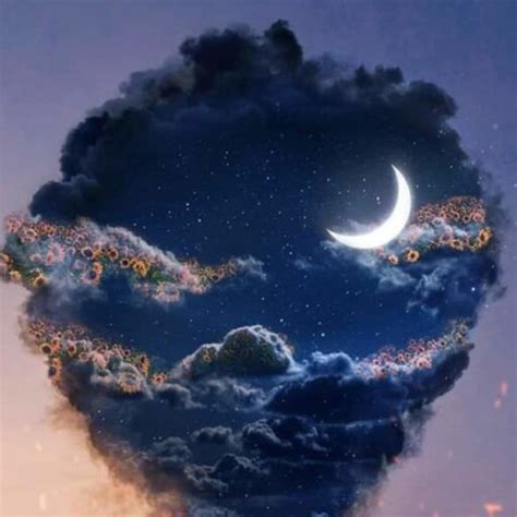 Eman Soliman Tanta University Research Profile