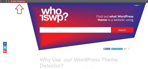 Wordpress Theme Detector