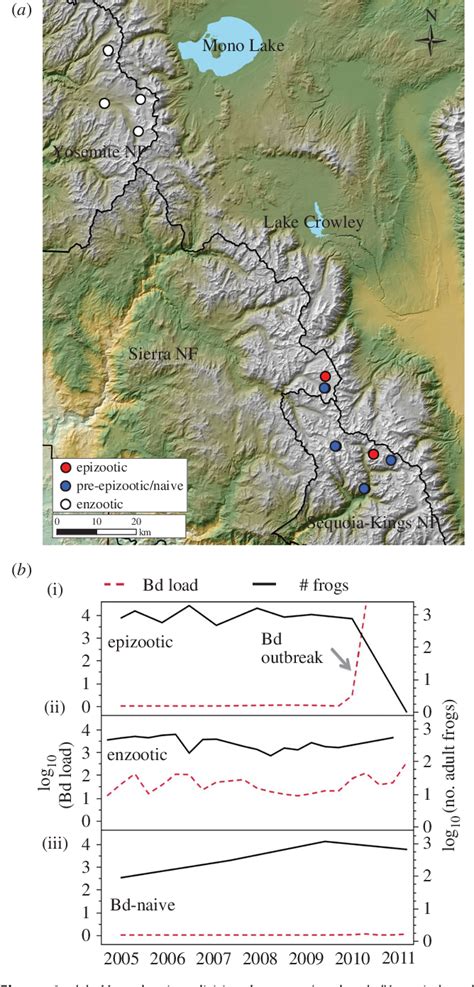 Figure 1 From Epidemic And Endemic Pathogen Dynamics Correspond To