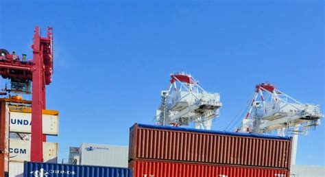 Container Loading Solutions Safe Container Loading In Minutes