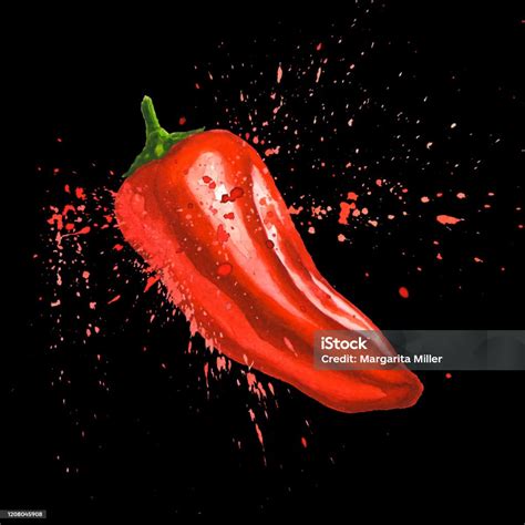 붉은 칠리 페퍼와 스플래시 스프레이 신선한 달콤한 파프리카 검은 색 배경에 고립 된 손으로 그린 수채화 그림 커버 포장 및 메뉴에 대한 디자인 건강한 생활방식에 대한 스톡