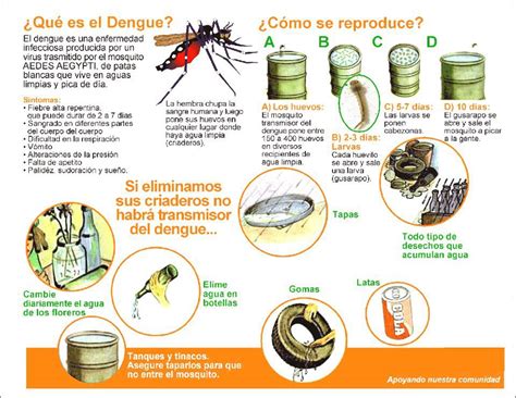 Informacion Sobre El Dengue GuÍa Para Manejo ClÍnico Del Dengue Pdf
