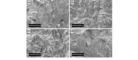Sem Micrographs Of Quasistatic Fracture Features A Cleavage Fracture Download Scientific