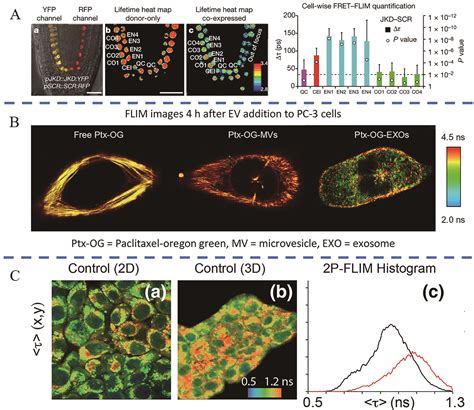 Research Progress Of Multicolor Colorimetric Method In Biosensing Platform