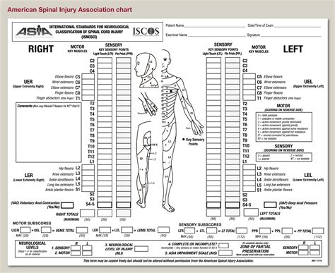Clinical Examination Of The Spine Surgery Oxford International Edition