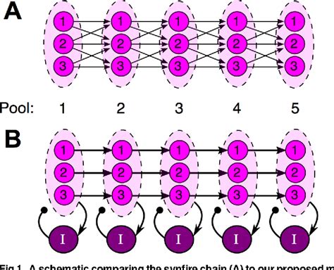 Figure 1 From Neural Sequence Generation Using Spatiotemporal Patterns Of Inhibition Semantic