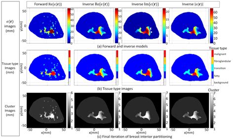 evaluating performance of microwave image reconstruction algorithms