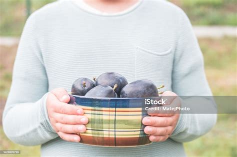 과일로 가득 찬 세라믹 그릇을 들고있는 어린이 잘 익은 자두 3에 대한 스톡 사진 및 기타 이미지 3 과일 날것 Istock