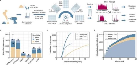 Spin Enables High Throughput Species Identification Of Archaeological Bone By Proteomics Nature