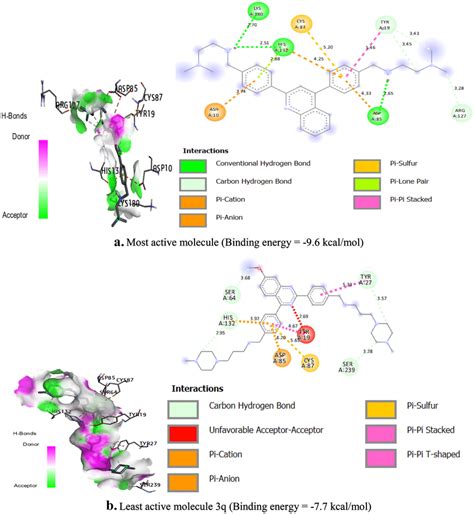 2d And 3d Docking Poses Interactions Between Ligand 1c A And Ligand