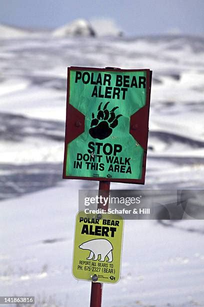 Bear Warning Sign Photos And Premium High Res Pictures Getty Images