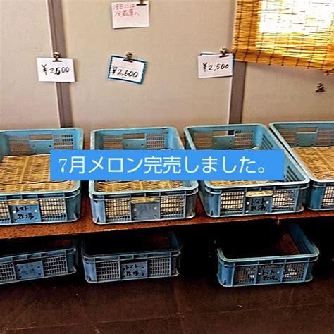 7月のメロン完売しました。 ブログ 清水区三保で愛情を込めて育てたトマトをお届け