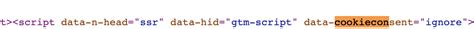 Setting Data Cookieconsent To Ignore · Issue 81 · Nuxt Communitygtm
