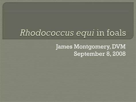 Ppt Rhodococcus Equi In Foals Powerpoint Presentation Free Download Id 4088757