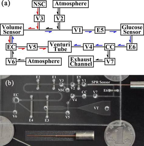An Optofluidic System With Volume Measurement And Surface Plasmon Resonance Sensor For