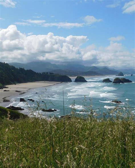 Oregon Views