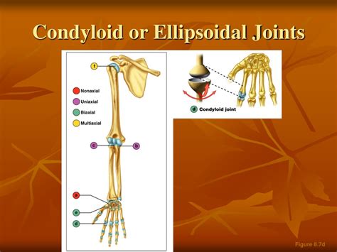 Ppt Plane Joint Powerpoint Presentation Free Download Id 9556232