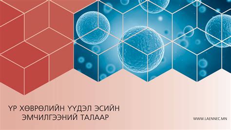 Үүдэл эс гэж юу вэ үр хөврөлийн үүдэл Laennec Mongolia Facebook