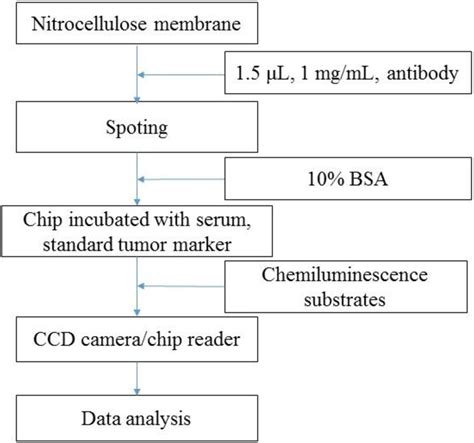 The Workflow Of The Chip Detection System Download Scientific Diagram