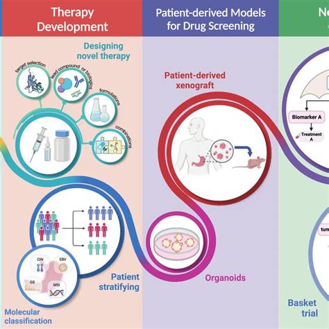 Essential Technologies And Processes For Elevating Biomarker Guided