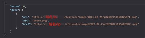 php 使用wangeditor实现富文本 完成图片上传 npm 富文本编辑器向php传输图片 csdn博客