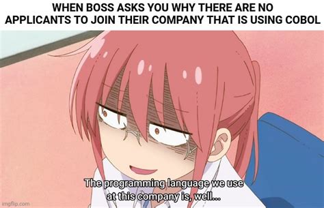 574 best r programmeranimemes images on pholder i love my past self