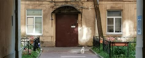 вьюкке рисую всякое разное 2025 ВКонтакте